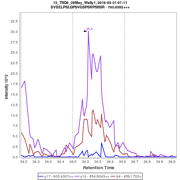 STRN, CPTAC-1724 - CPTAC Assay Portal | Office of Cancer Clinical ...